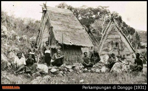Gambar perkampungan donggo 1931
